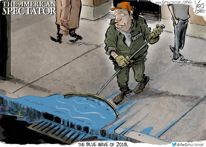 The Blue Wave of 2018 - The American Spectator | USA News and ...