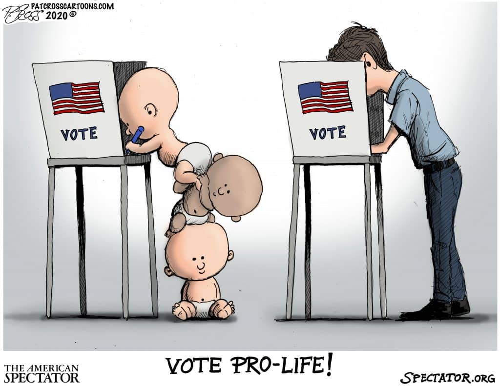 “Vote Pro-Life,” editorial cartoon by Patrick Cross for The American ...