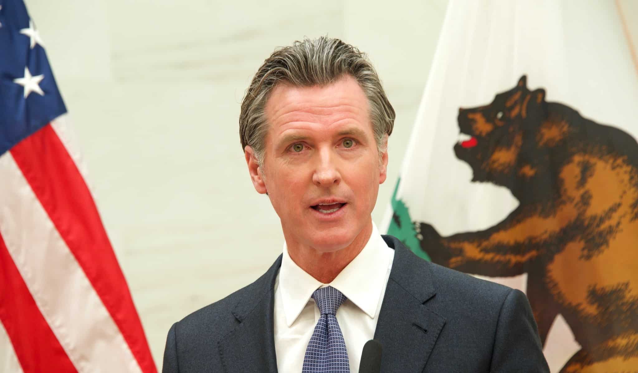 California Gov. Gavin Newsom (Sheila Fitzgerald/Shutterstock)