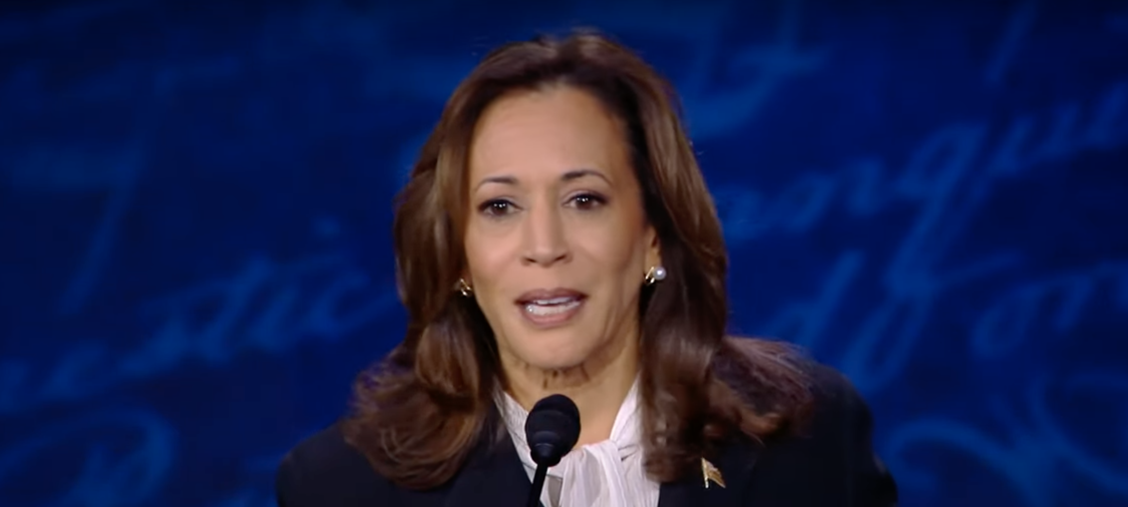Kamala Harris Has a Plan — To Take, Take, Take | The American Spectator ...